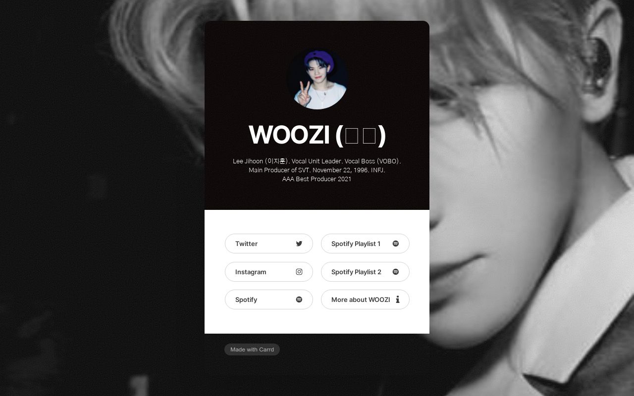 woozi_files
